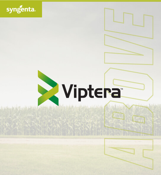 Syngenta Corn Traits | Syngenta US
